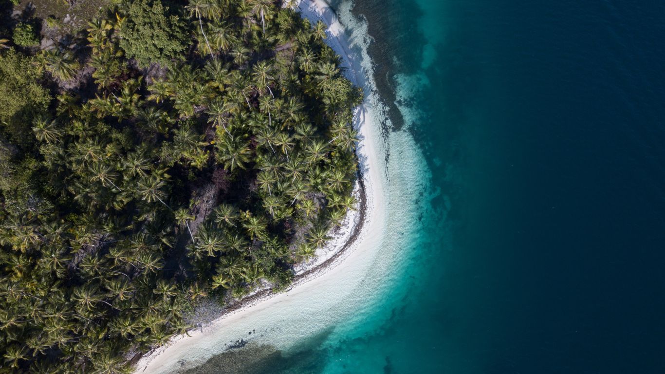 Marine Marketers | Full Service Agency— The Digital Deckhand